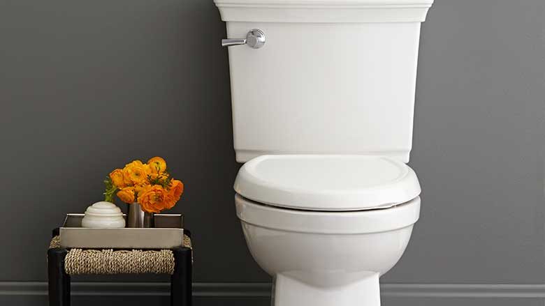 American Standard elongated toilet | Plumbing & Mechanical