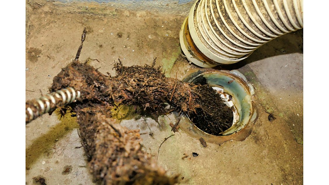 Master the basics of sewer root removal | Plumbing & Mechanical